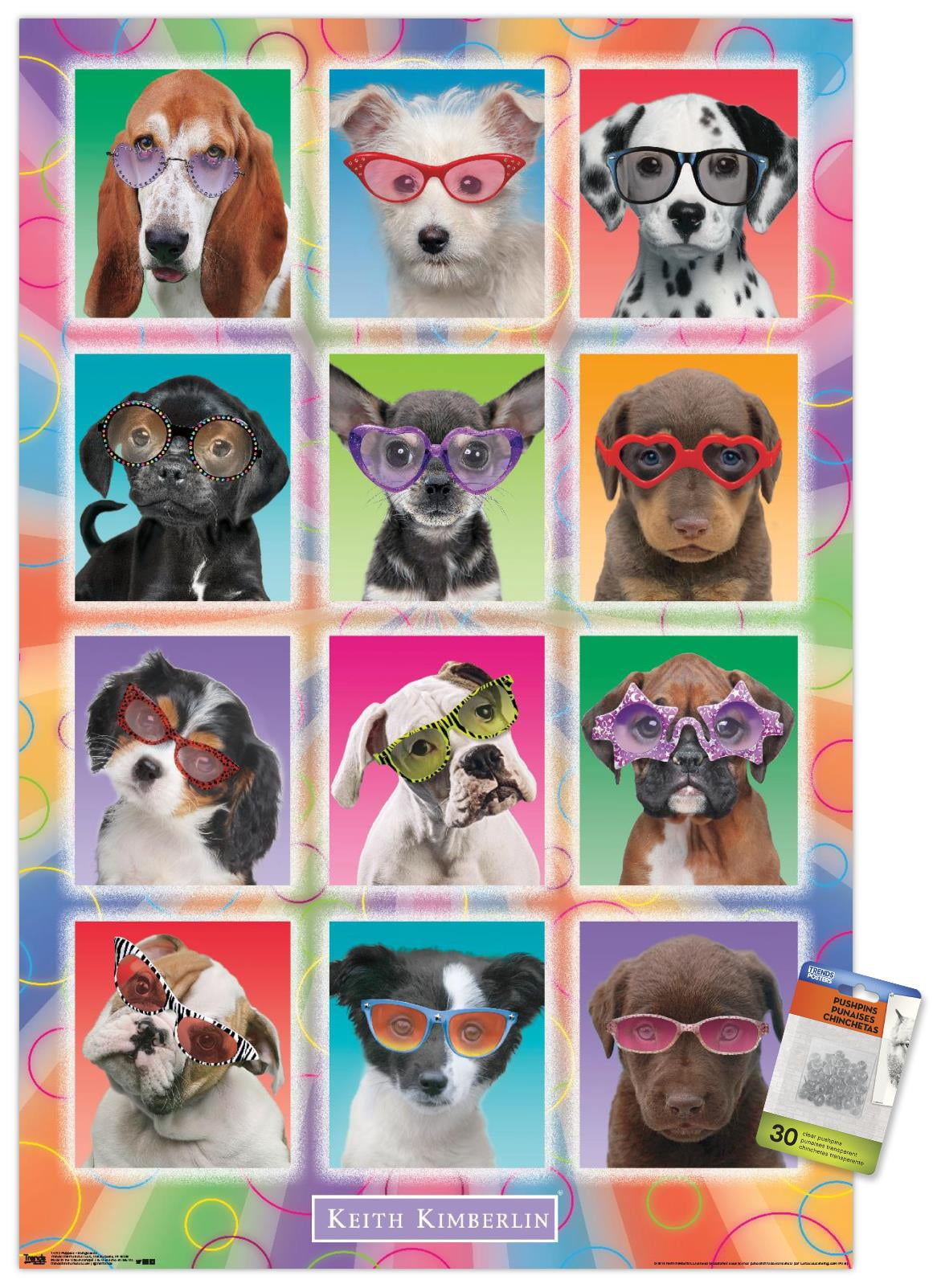 Keith Kimberlin - Puppies - Sunglasses Wall Poster with Push Pins, 22. ...