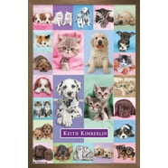 Keith Kimberlin - Kittens - Pug - Selfie Wall Poster, 14.725" x 22.375 ...