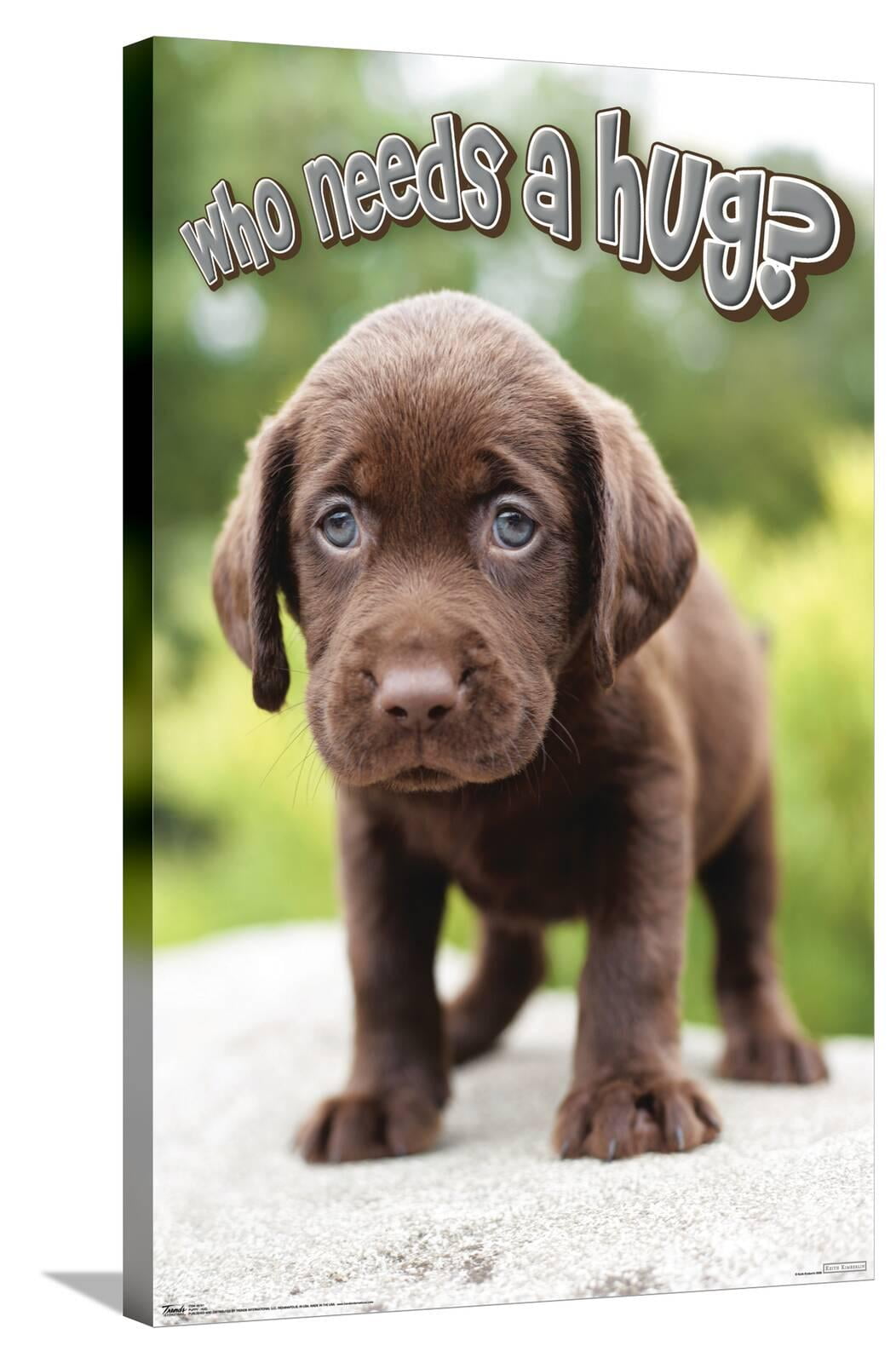 Keith Kimberlin - Puppy - Who Needs a Hug? Canvas Wall Poster, 22.375 ...