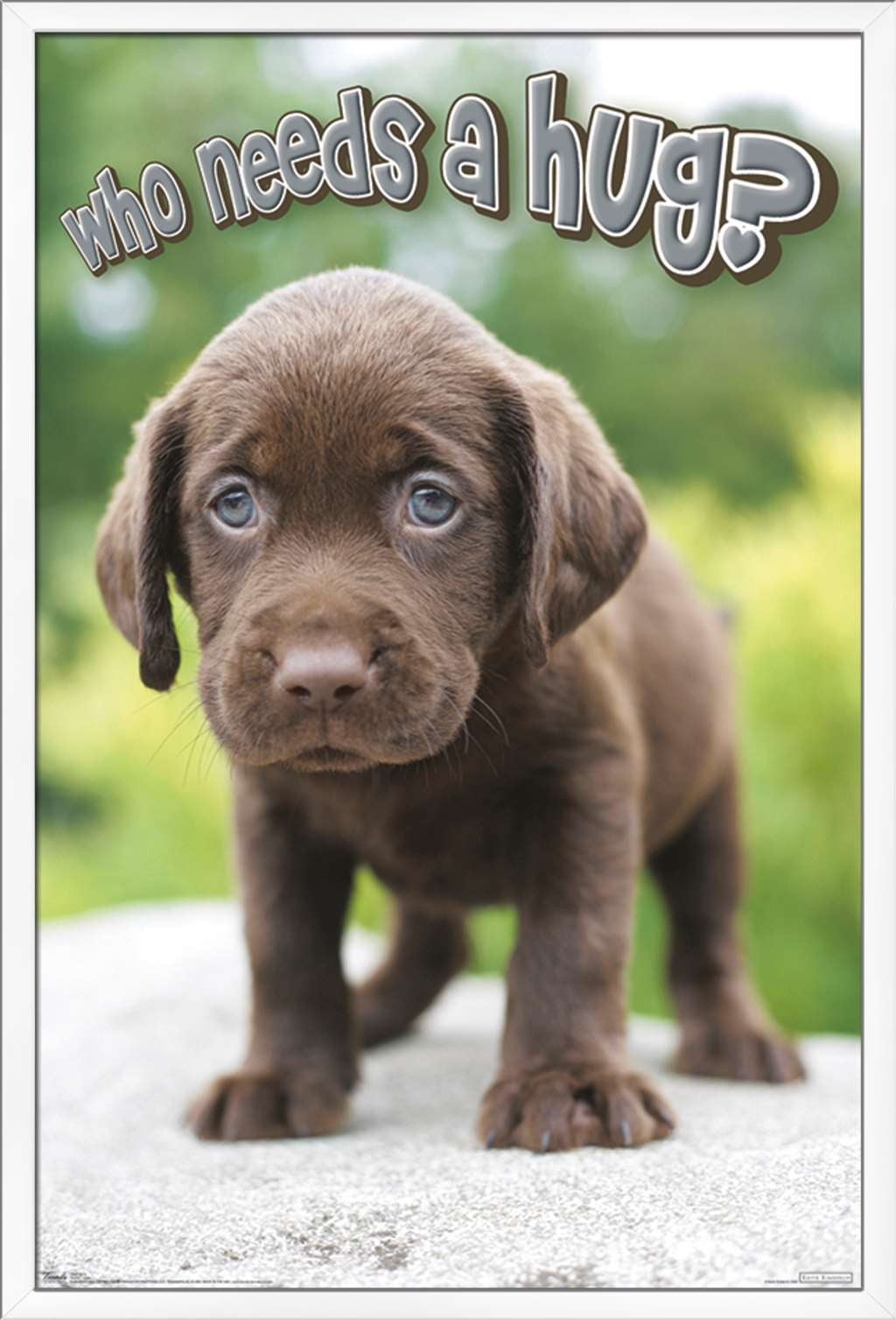 Keith Kimberlin - Puppy - Who Needs a Hug? Wall Poster, 22.375" x 34 ...