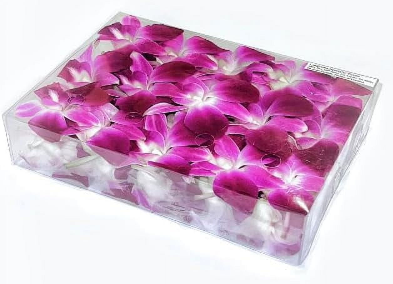Blumi Fresh Loose Purple Dendrobium Orchid Blossoms 50 ct - for DIY Lei ...