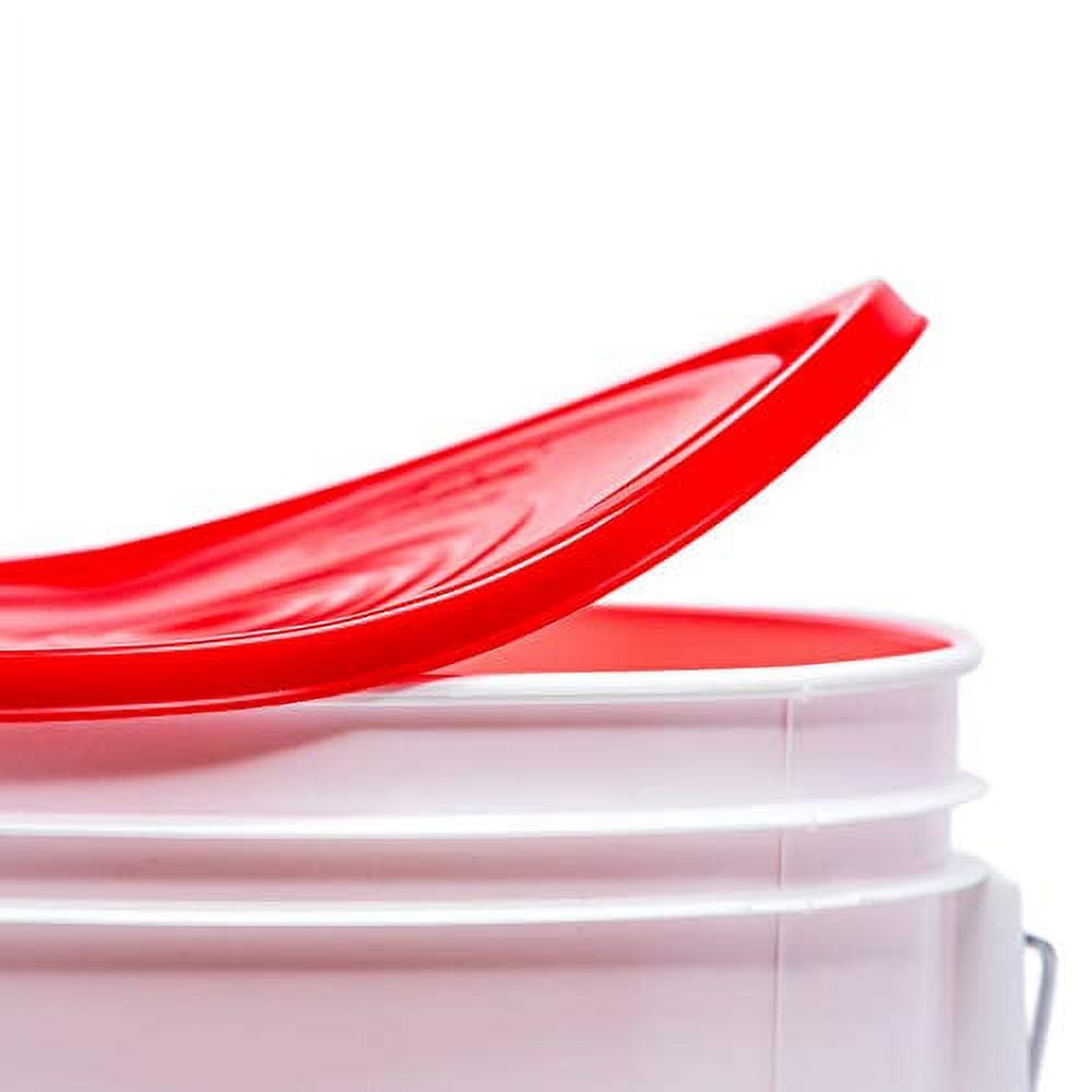 Kelaro Tankless Water Heater Flushing Kit with Rectorseal Calci-Free ...