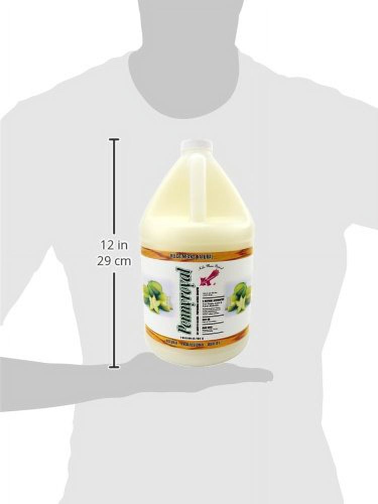 Kelco Pennyroyal Shampoo, Gallon - Walmart.com
