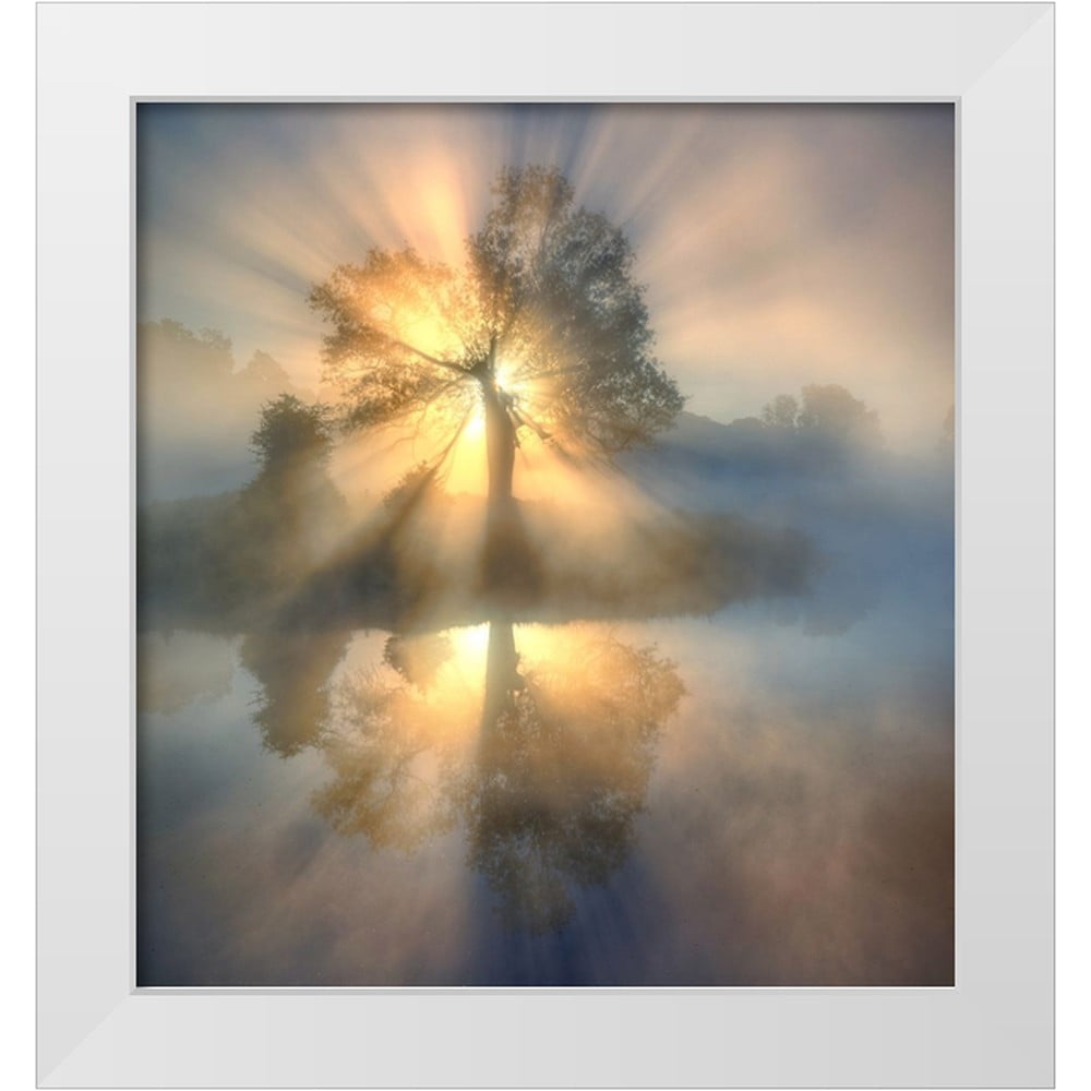 Keller 12x13 White Modern Wood Framed Museum Art Print Titled - Tree Of ...