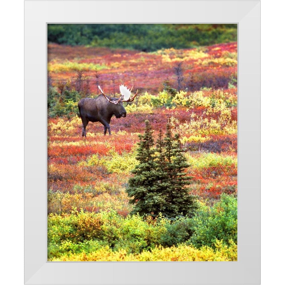 Kelley, David 20x24 White Modern Wood Framed Museum Art Print Titled ...