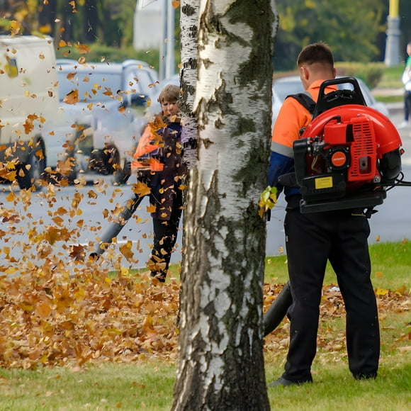Backpack Leaf Blowers in Leaf Blowers - Walmart.com