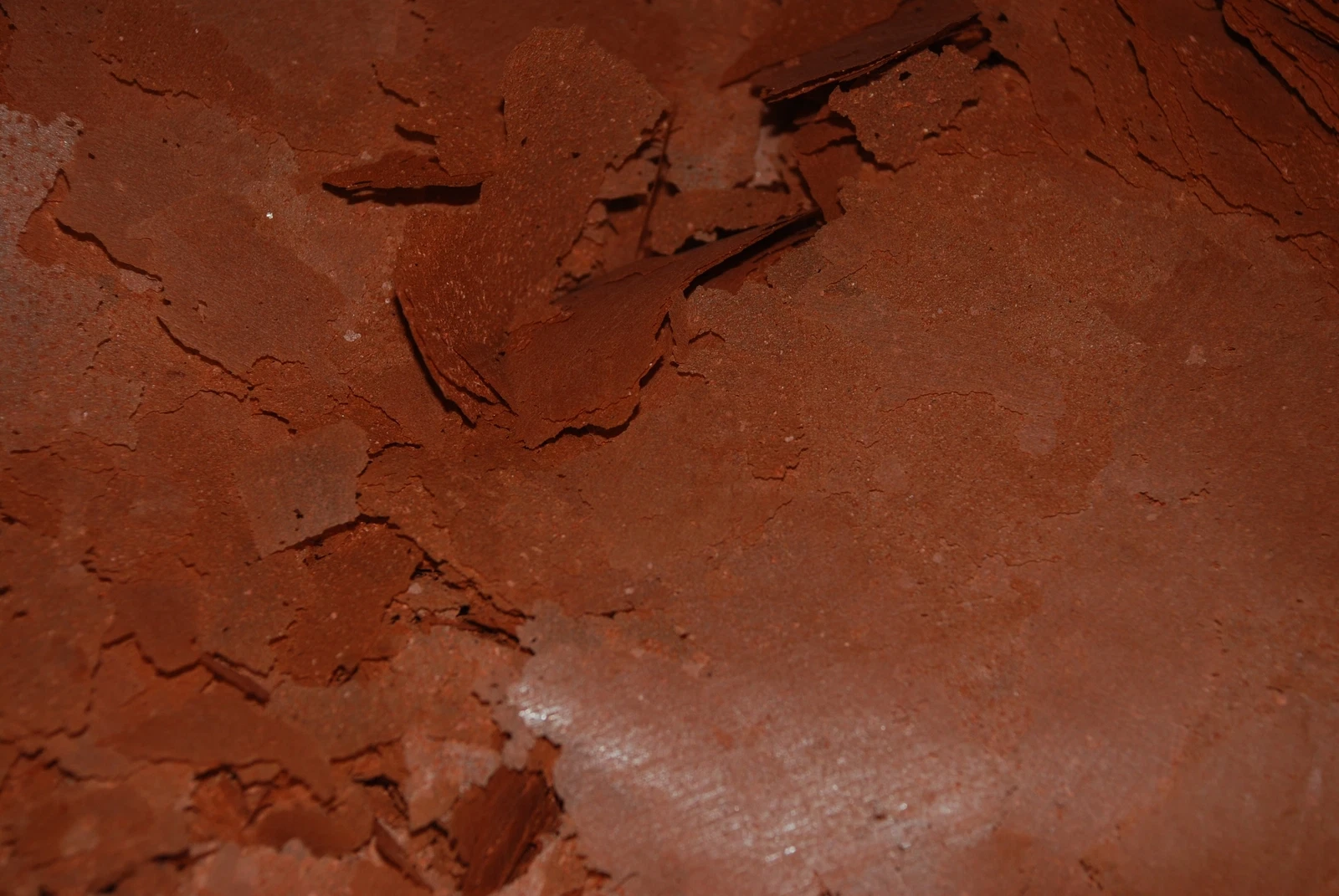 Ken'S Ultra Angel & Discus Flake - Walmart.com