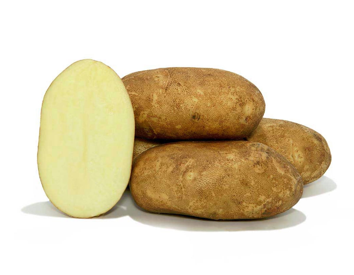 Kennebec Potato - 2 lbs Certified Seed (Tuber) - Walmart.com