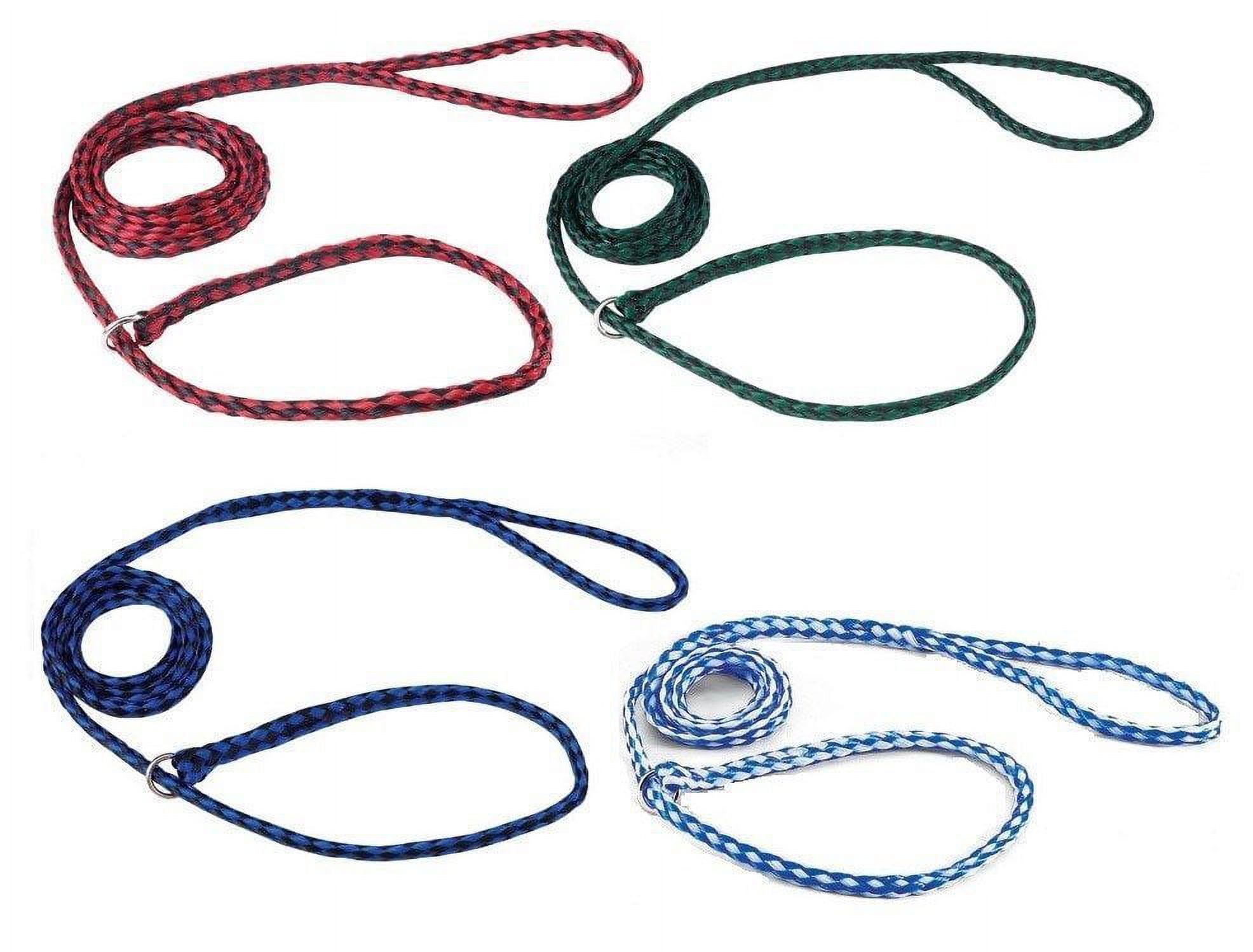 Kennel Dog Lead Bulk Packs for Dogs Heavy Poly Control Slip Style ...