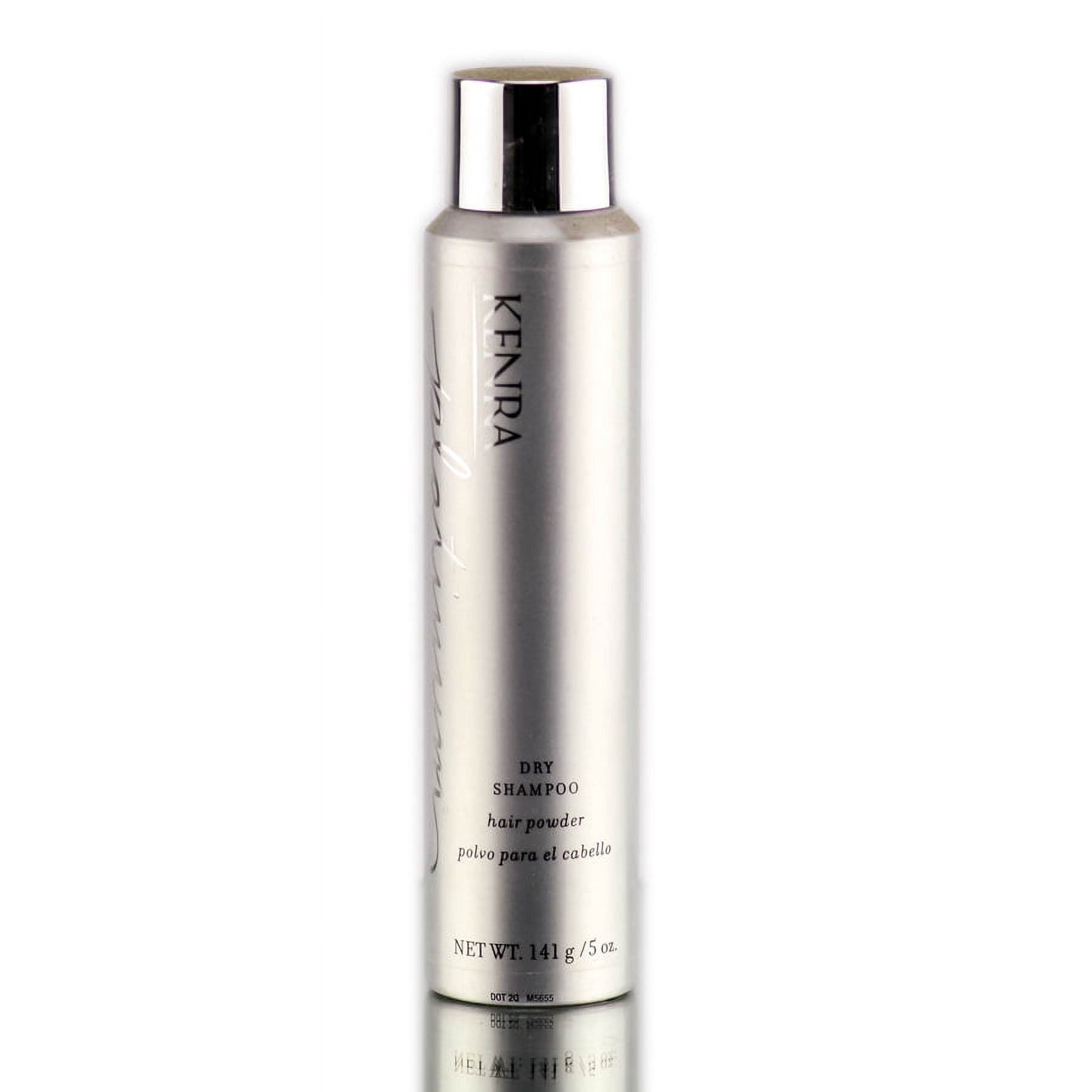 Kenra Platinum Dry Shampoo 5 oz - Walmart.com