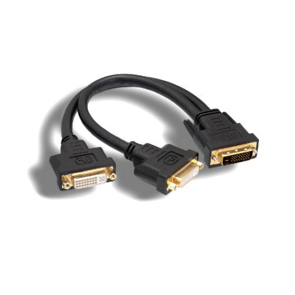 Kentek 1 feet FT DVI digital 24+1 pin dual link DVI-D male to 2 x DVI-D ...