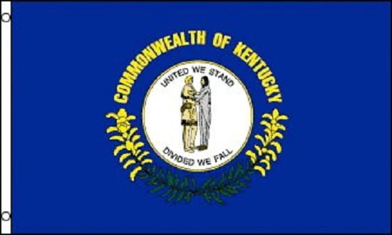 Kentucky Flag KY State Banner Pennant 3x5 - Walmart.com