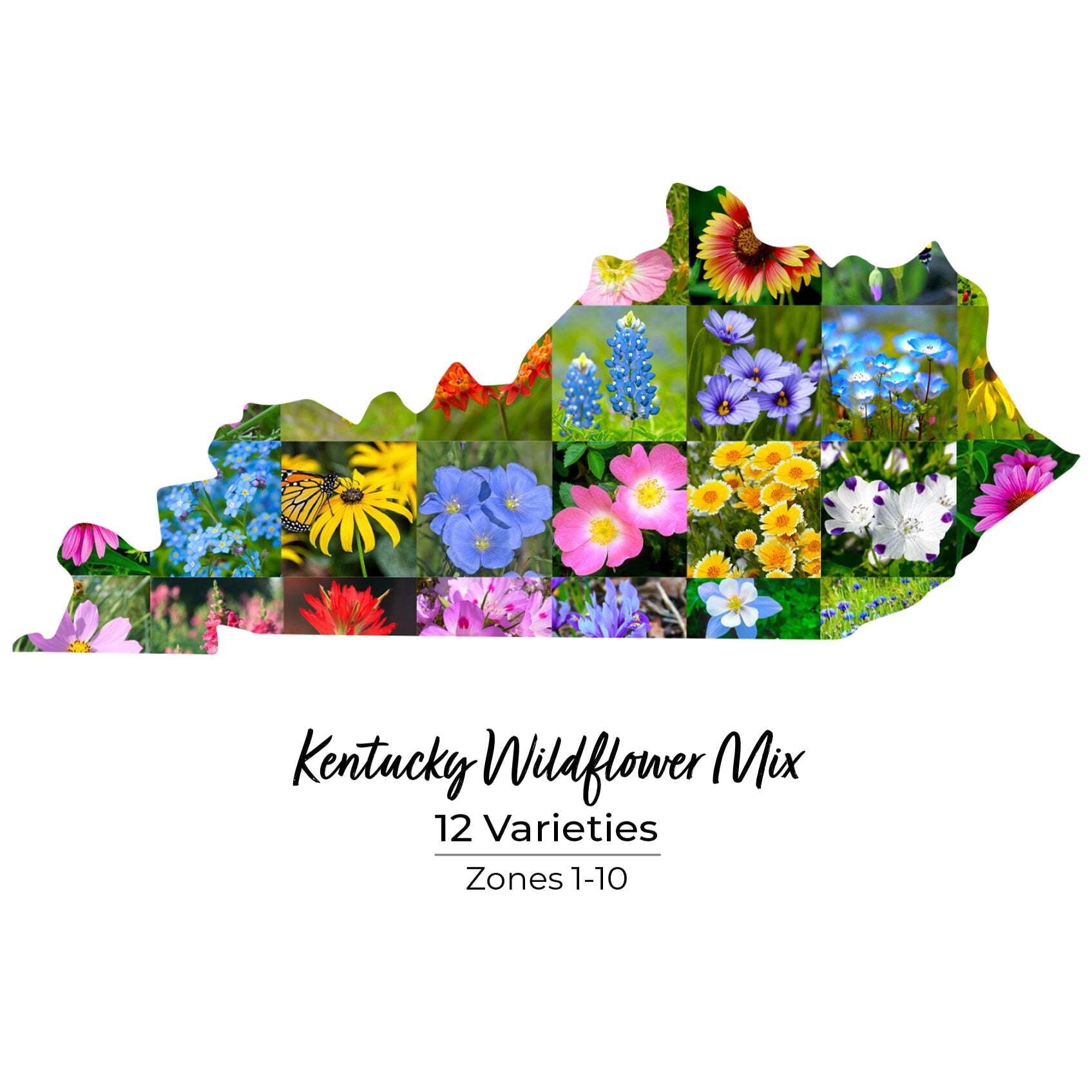 Kentucky Seed Mix - Walmart Business Supplies