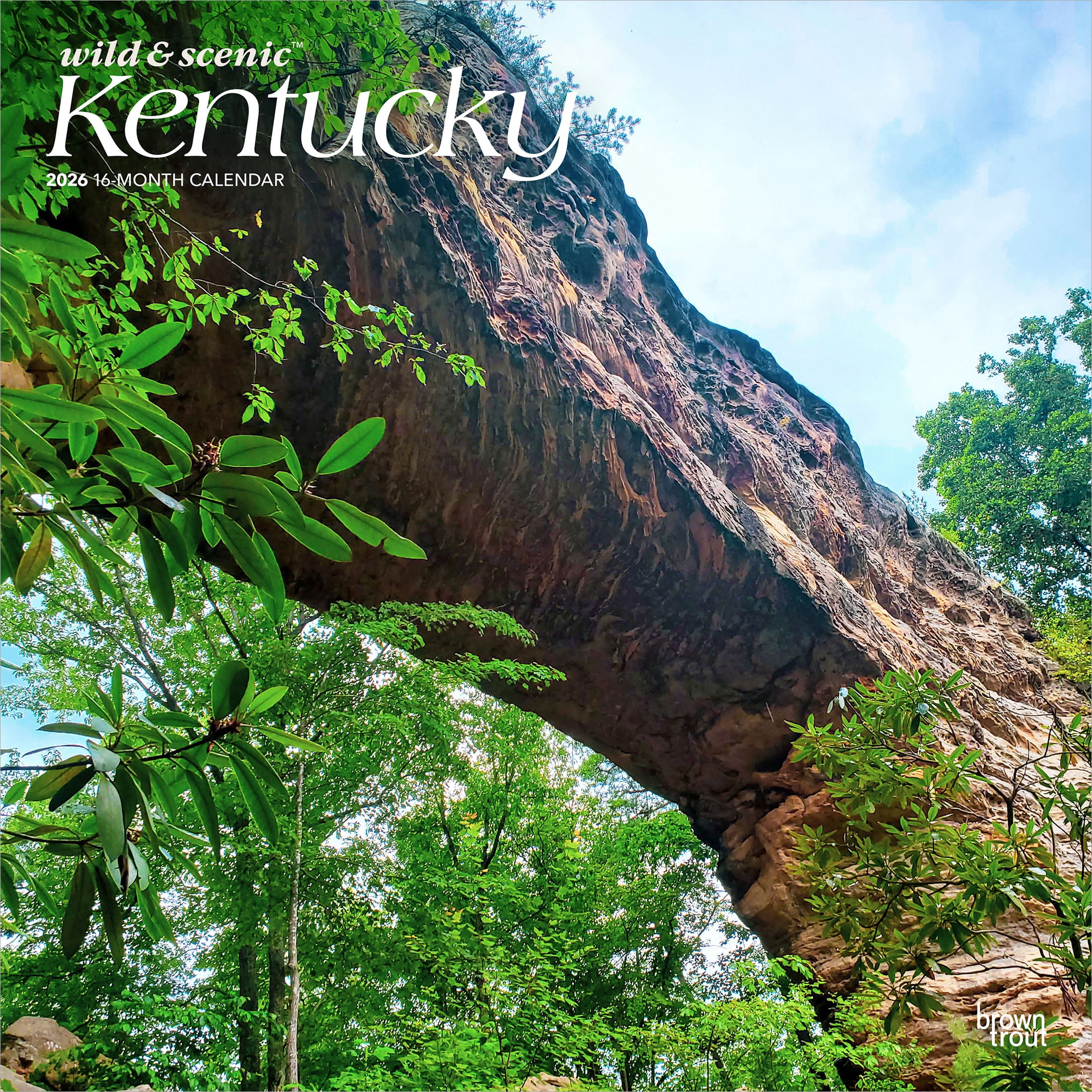 Kentucky Wild & Scenic | 2026 12x24" (Hanging) Wall Calendar | Plastic ...