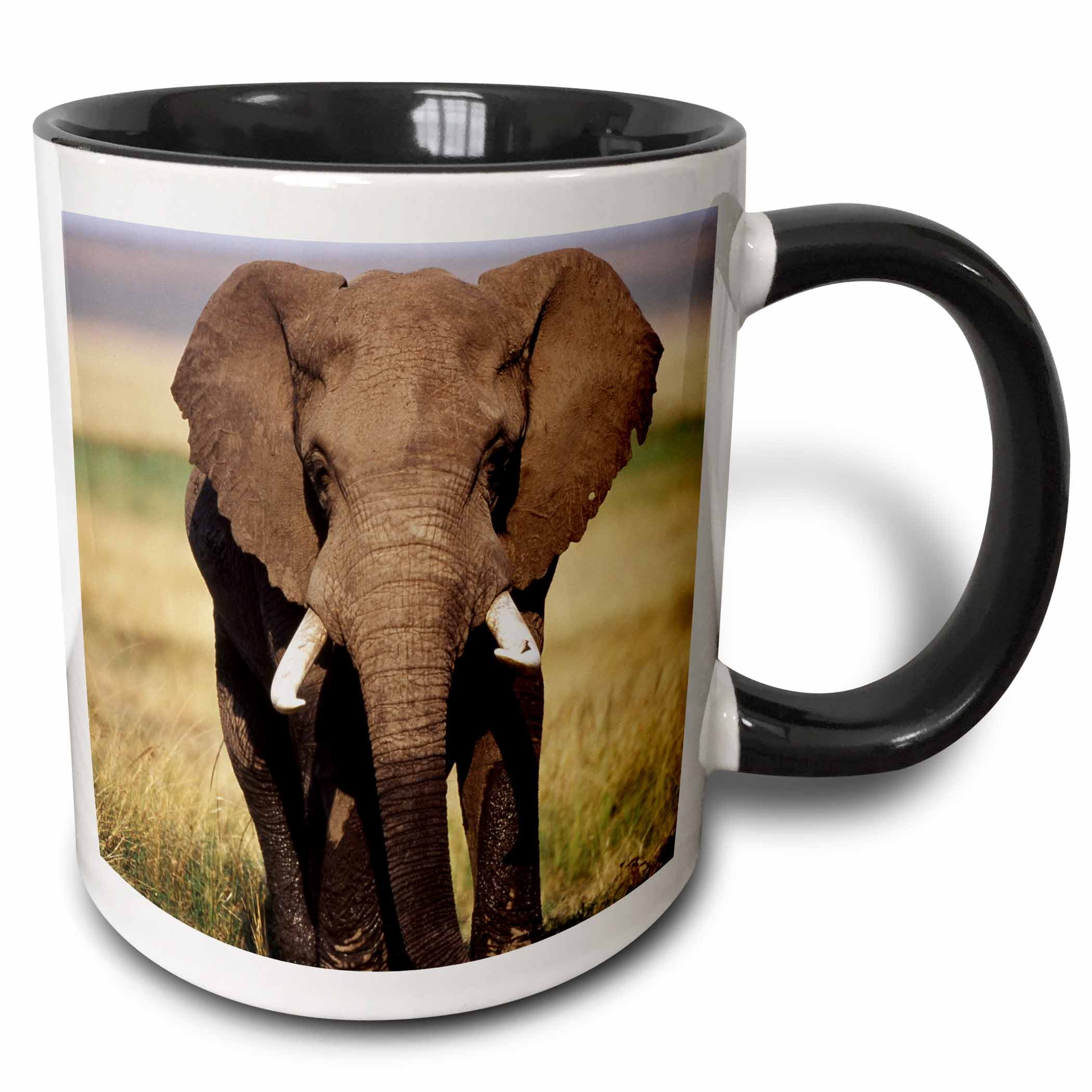 3drose, Kenya, Maasai Mara National Reserve, African Bush Elephant ...