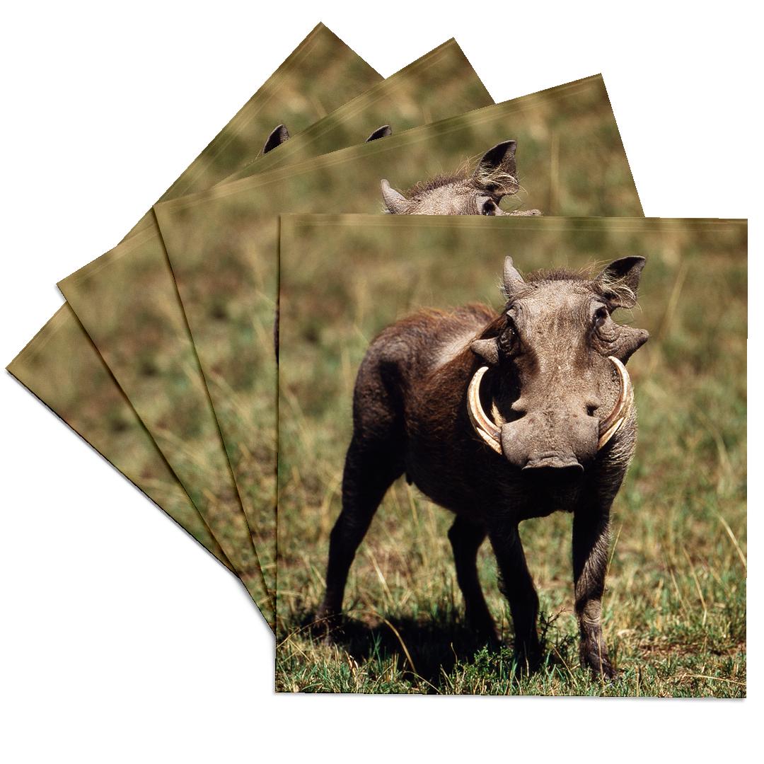 3drose, Kenya, Maasai Mara National Reserve, Desert Warthog., Set of 4 ...