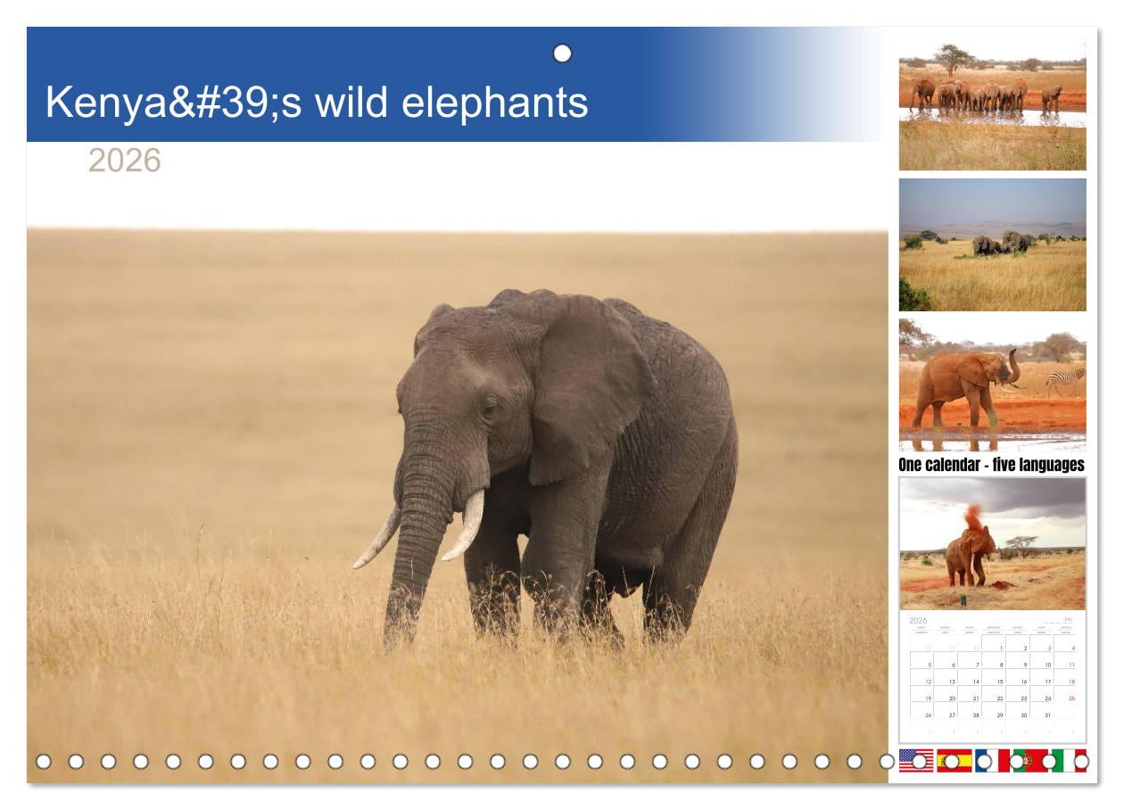 Kenya's wild elephants (Monthly Wall Calendar 2026 11.7 x 16.5 (open ...