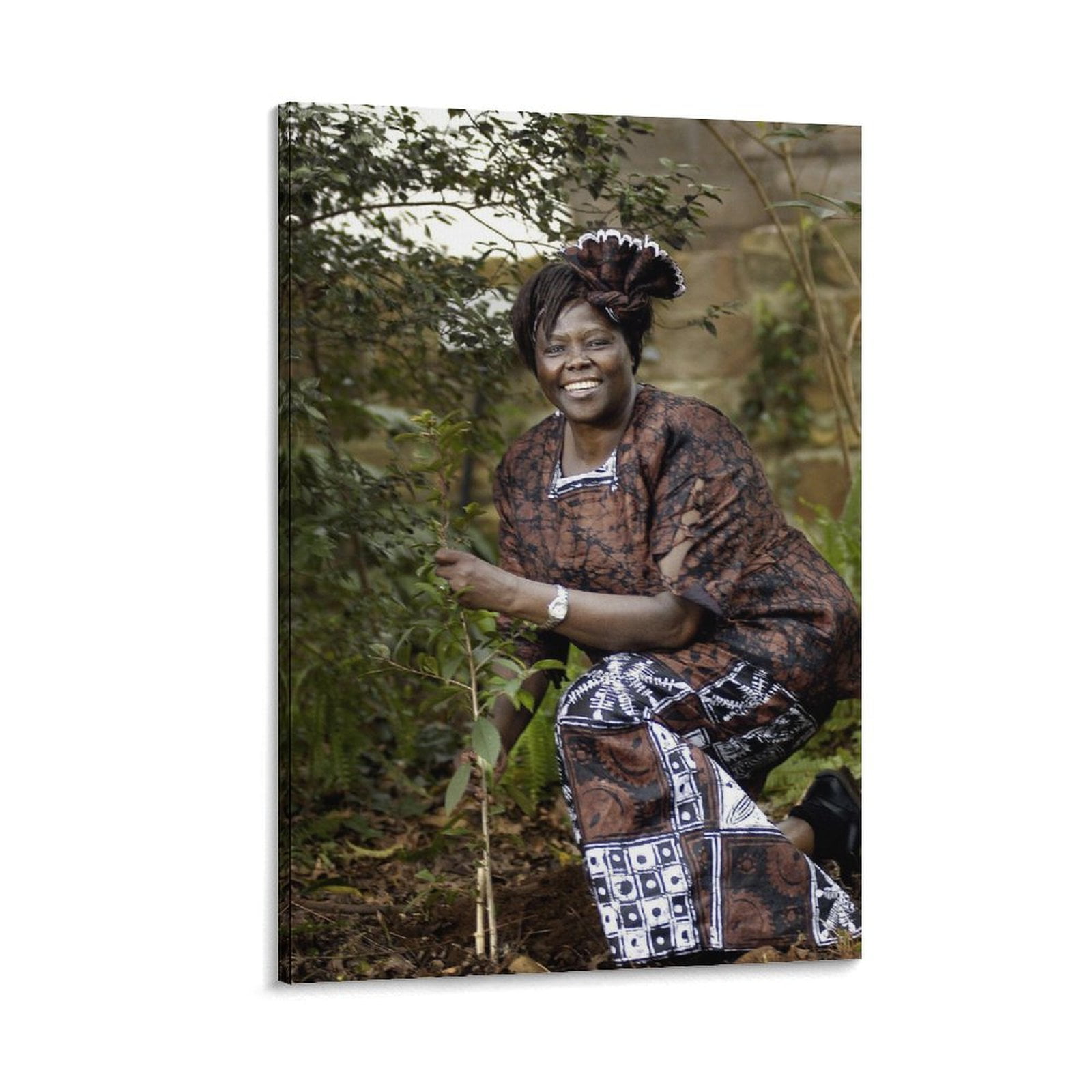 Kenyan Scientists Wangari Maathai Poster Posters Art Print Wall Photo ...