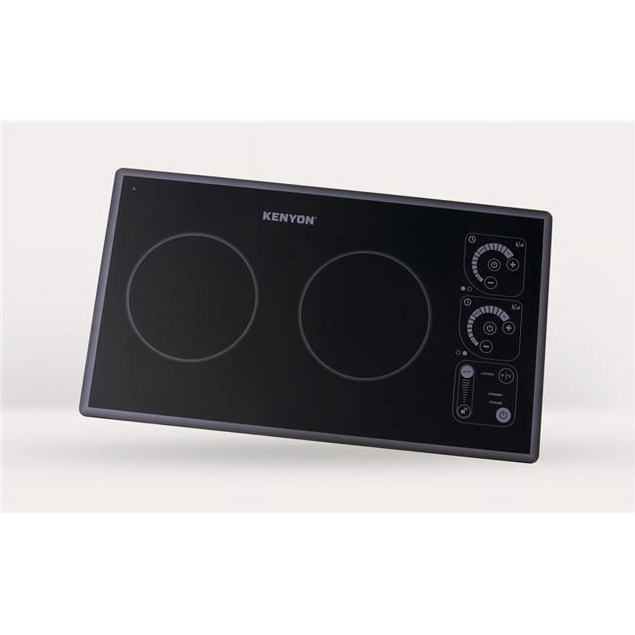 Kenyon B81325 21 in. 120V Silken Landscape Electric Induction Cooktop ...