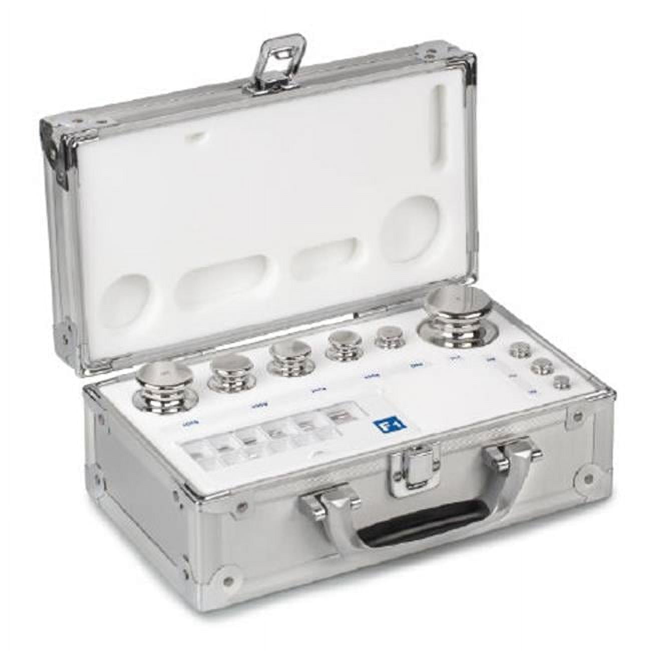 Kern 333-066 1 mg-1 kg F2 Class Set of Weight in Aluminum Case with ...