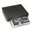 Kern MPB 300K100 300 kg Personal Scale - Walmart.com