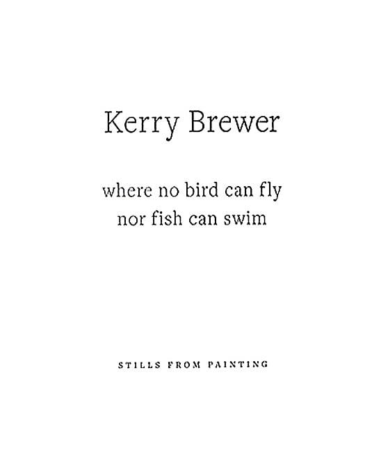 Kerry Brewer: Where No Bird Can Fly Nor Fish Can Swim : Stills from Painting (Paperback ...