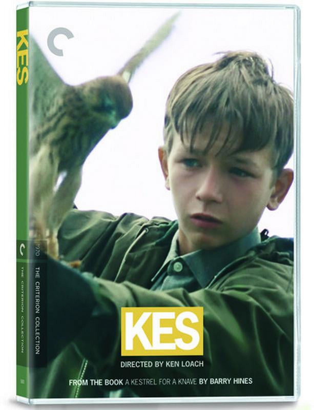 Kes (Criterion Collection) (DVD) - Walmart.com