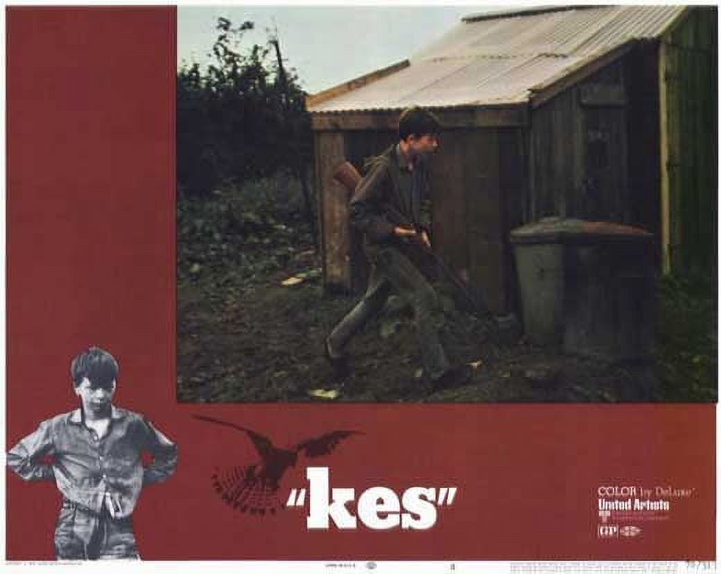 Kes - movie POSTER (Style H) (11" x 14") (1970) - Walmart.com