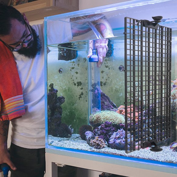 Fish Tank Dividers