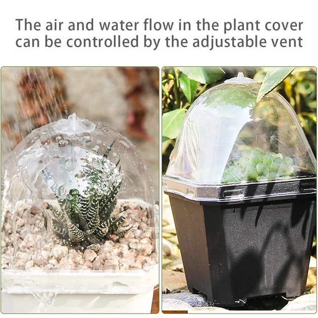 Kesenlong cover Plastic Plant Cover Transparent Garden Freeze ...