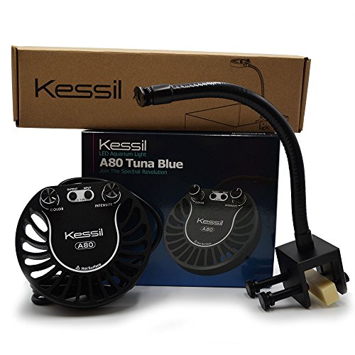 Kessil Tuna Blue A80 LED Light w/ mini gooseneck - Walmart.com