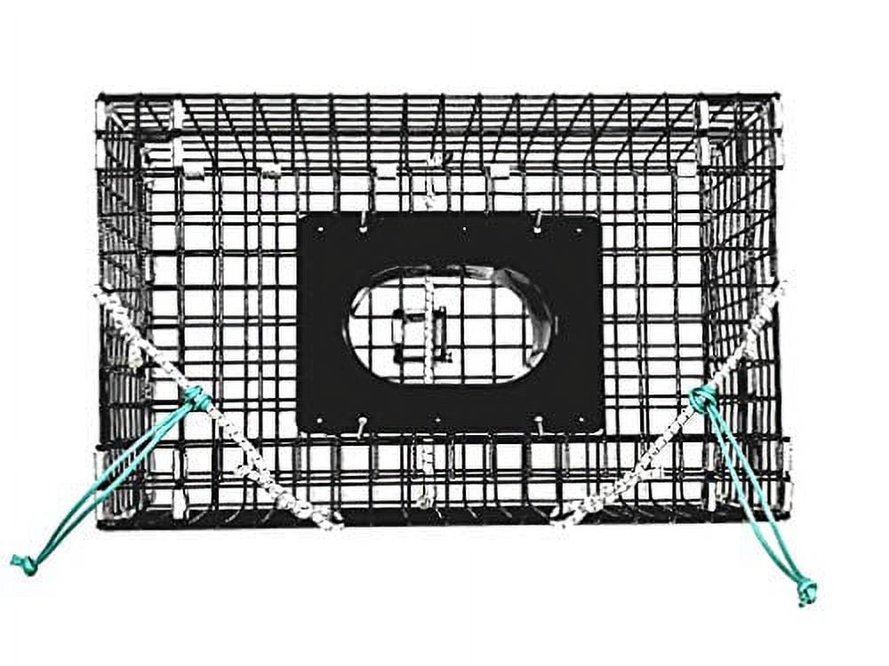 Ketcham Supply PVC Coated Wire Mesh Small Green Crab Trap - Walmart.com