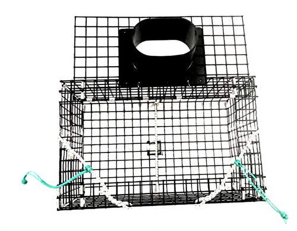 Ketcham Supply PVC Coated Wire Mesh Small Green Crab Trap - Walmart.com