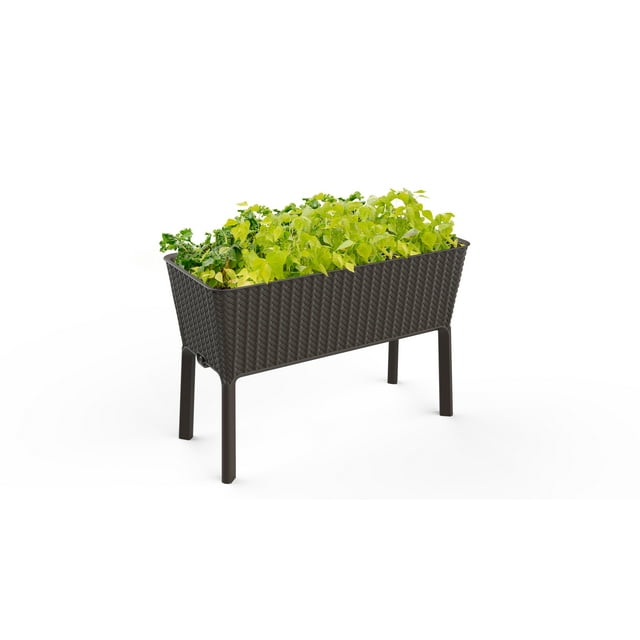 Keter Splendor 31.7 Gallon Raised Garden Bed with Self Watering Planter ...