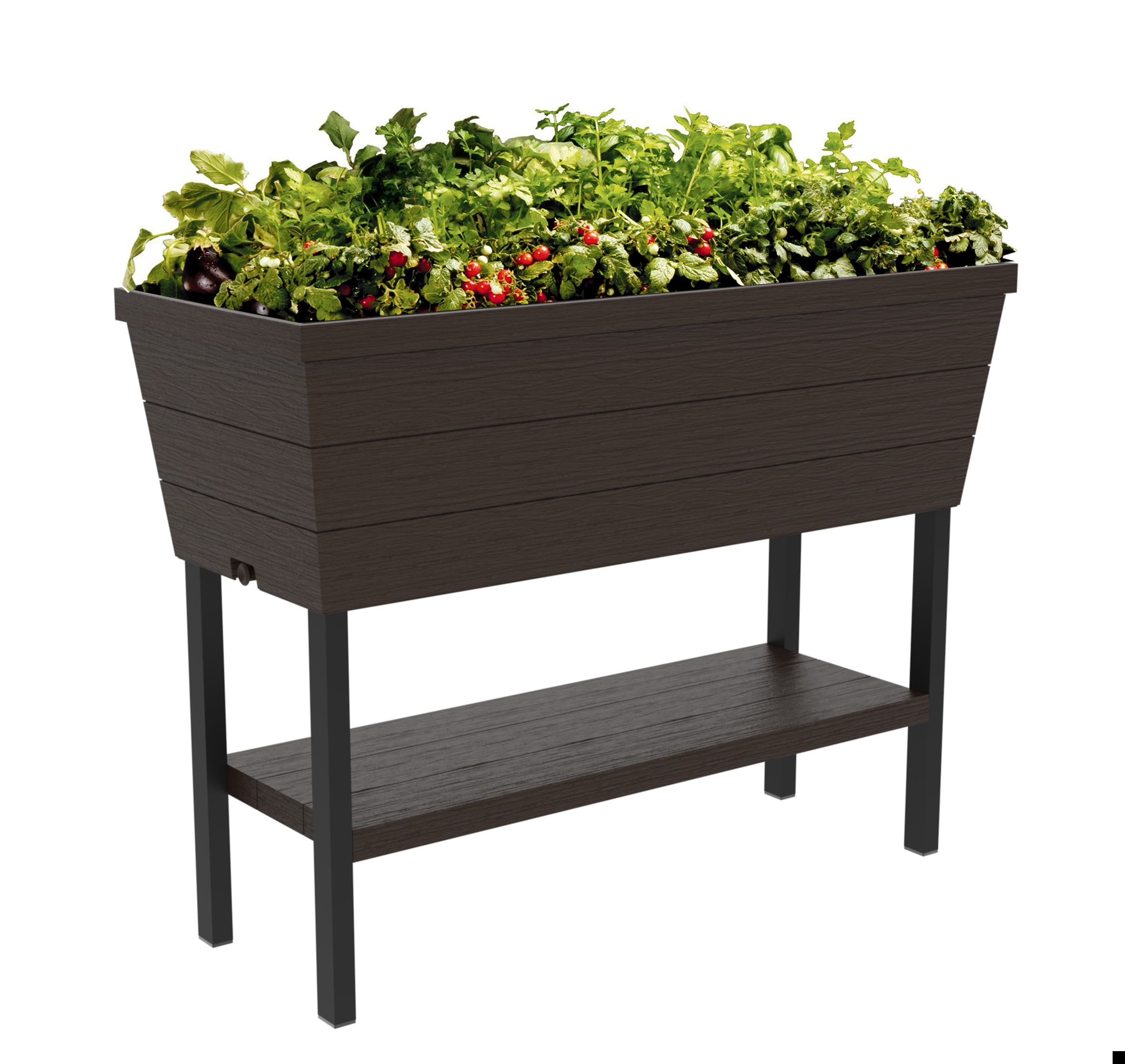 Keter Urban Bloomer 12.7 Gallon Raised Garden Bed and Outdoor Herb ...