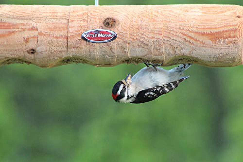 Kettle Moraine Cedar Upside Down Clinger Suet Plug Log Feeder - Walmart.com