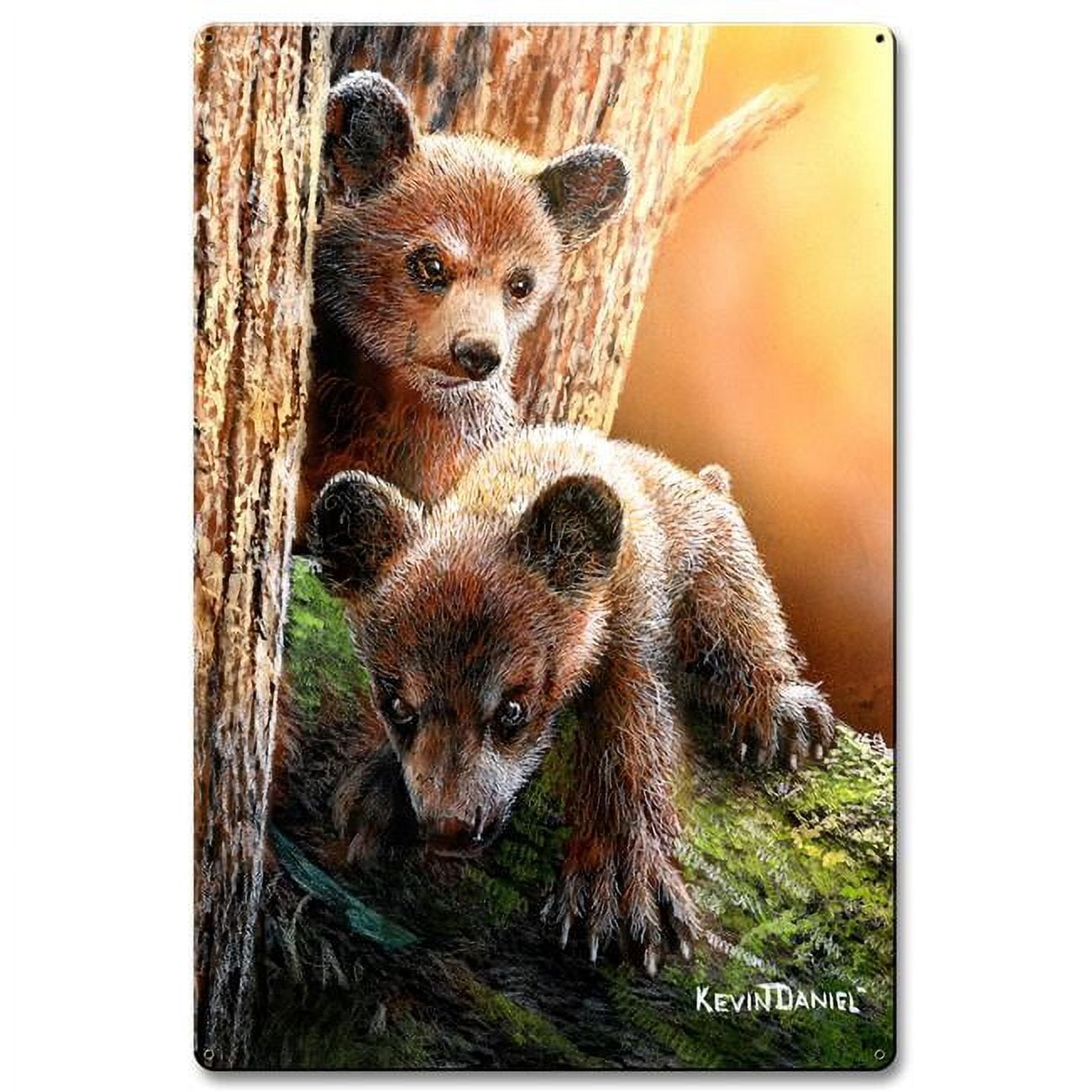 Kevin Daniel Art KDA056 24 x 36 in. Being Curious Satin Metal Sign ...