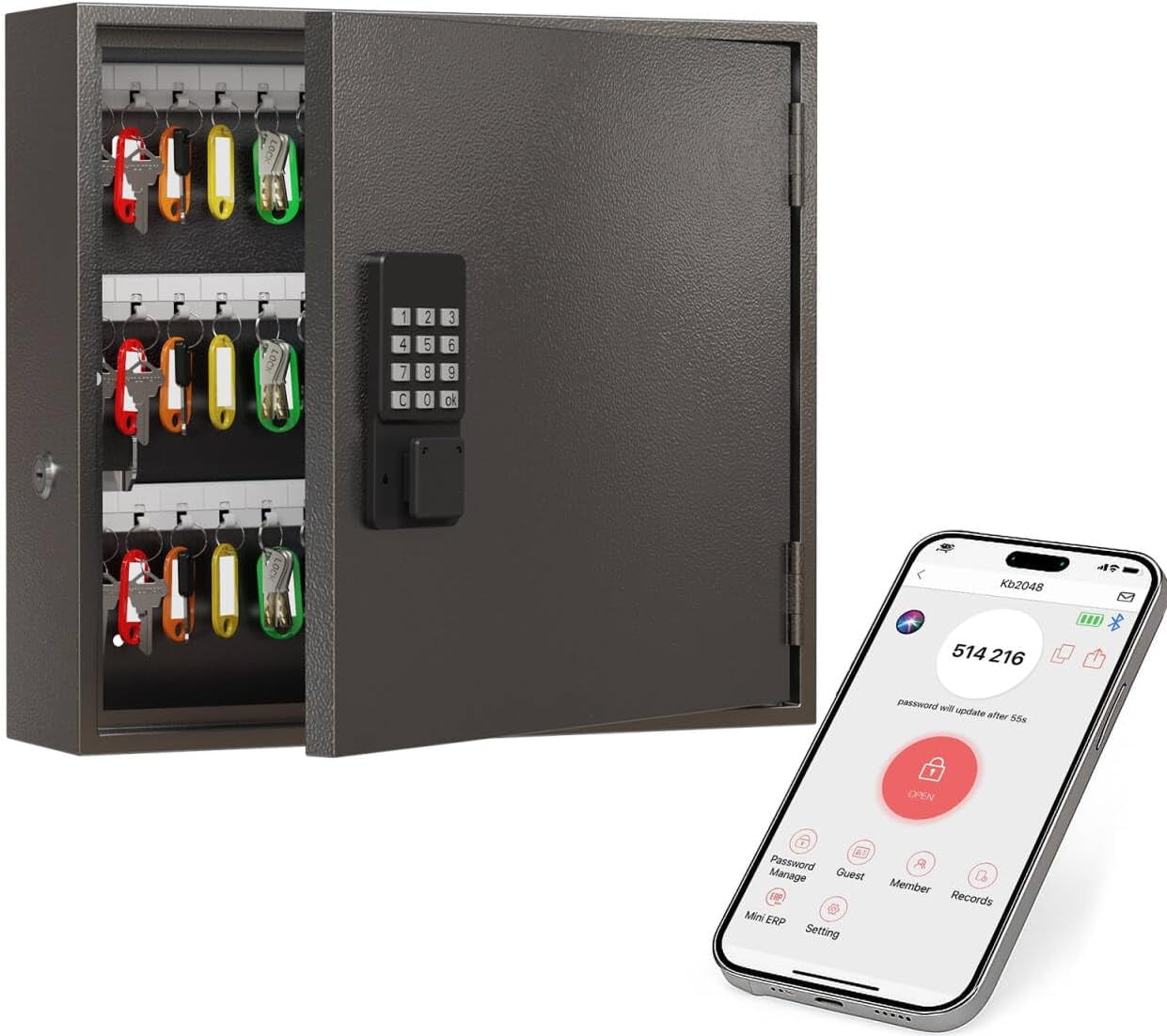 Key Lock Box for Keys Wall Mount Key Cabinet with Color Key Tags Key ...