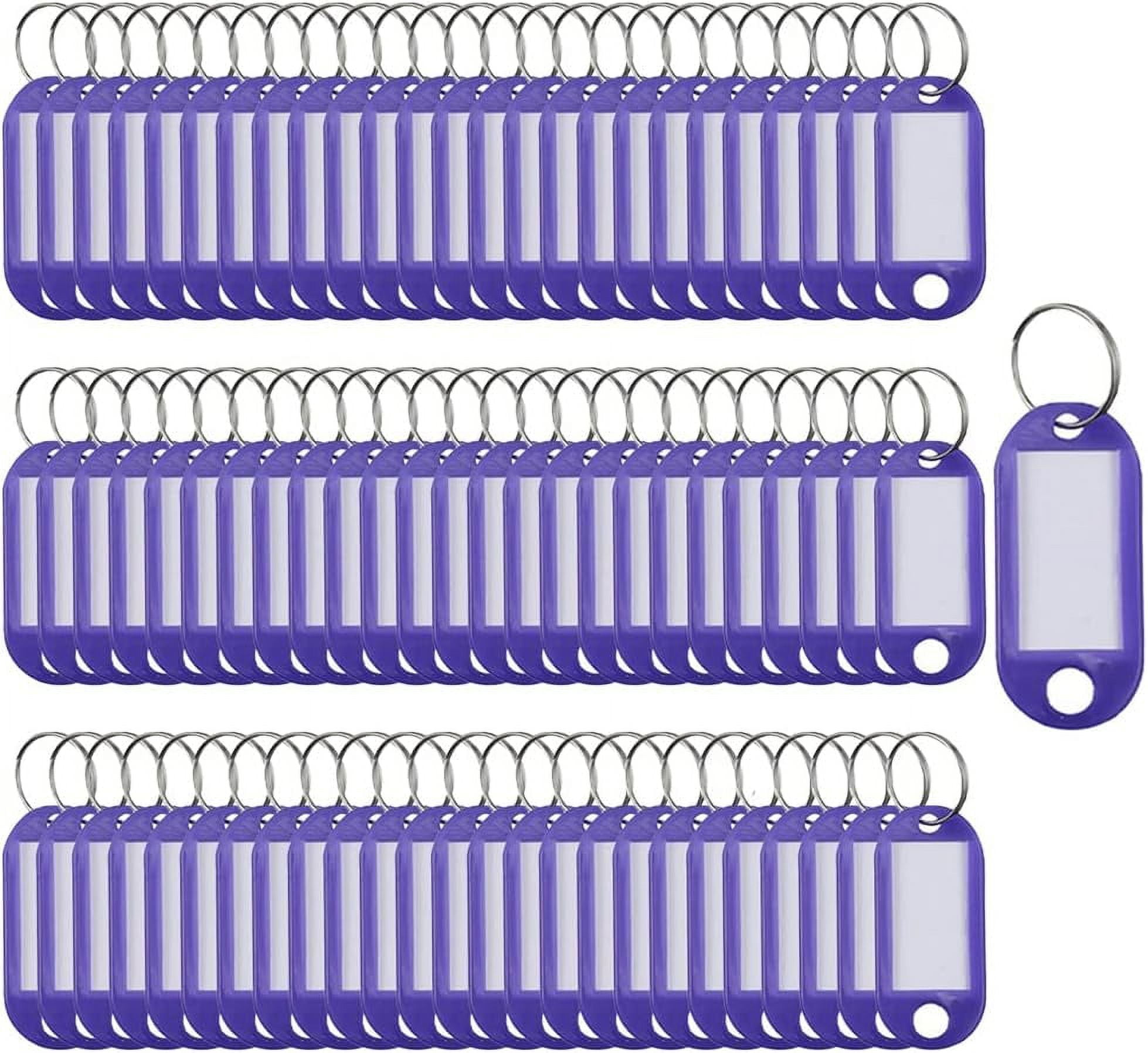 Key Tags SENRISE 100 Pieces Keyring Tags Key Labels Plastic Key Fobs Id ...