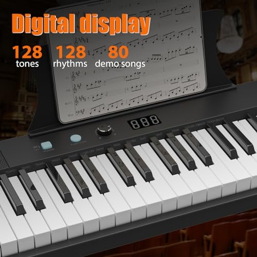 Keyboard Portable Piano, 61 Key Piano Keyboard for Beginners and Kids ...