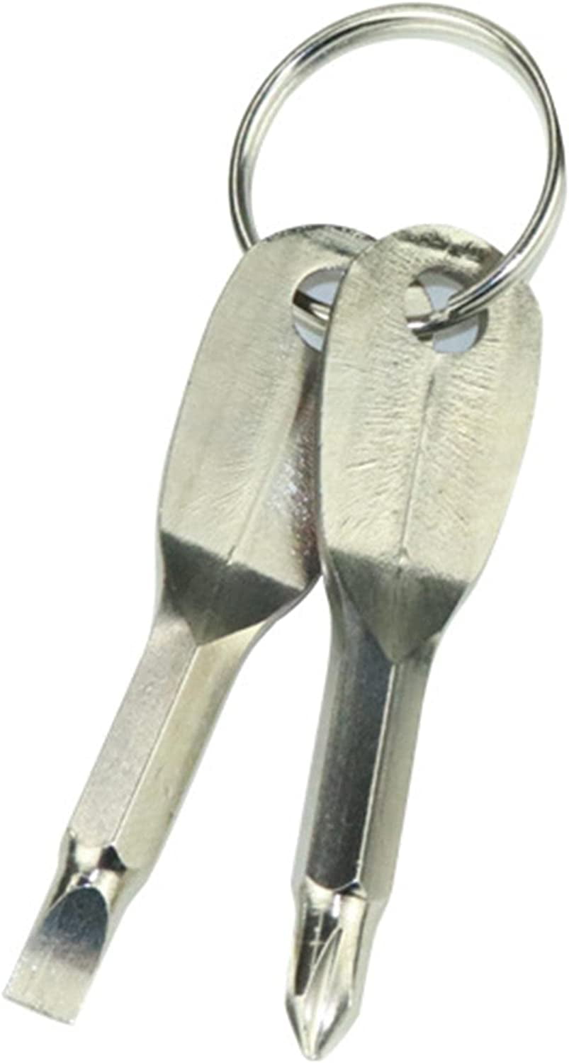 Keychain Screwdriver, 2 in 1 Mini Silver Screwdriver Keychain ...