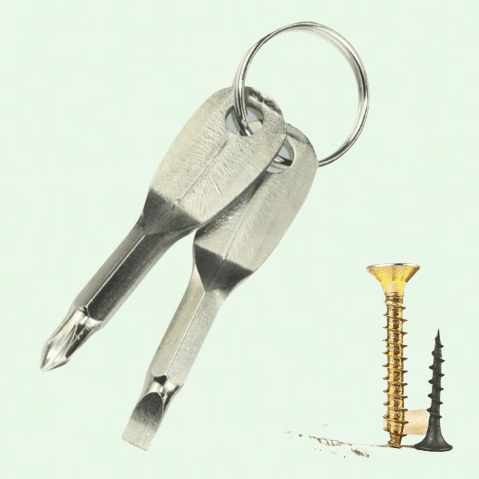Keychain Screwdriver Set - 2 in 1 Phillips Screwdriver Flat Head ...