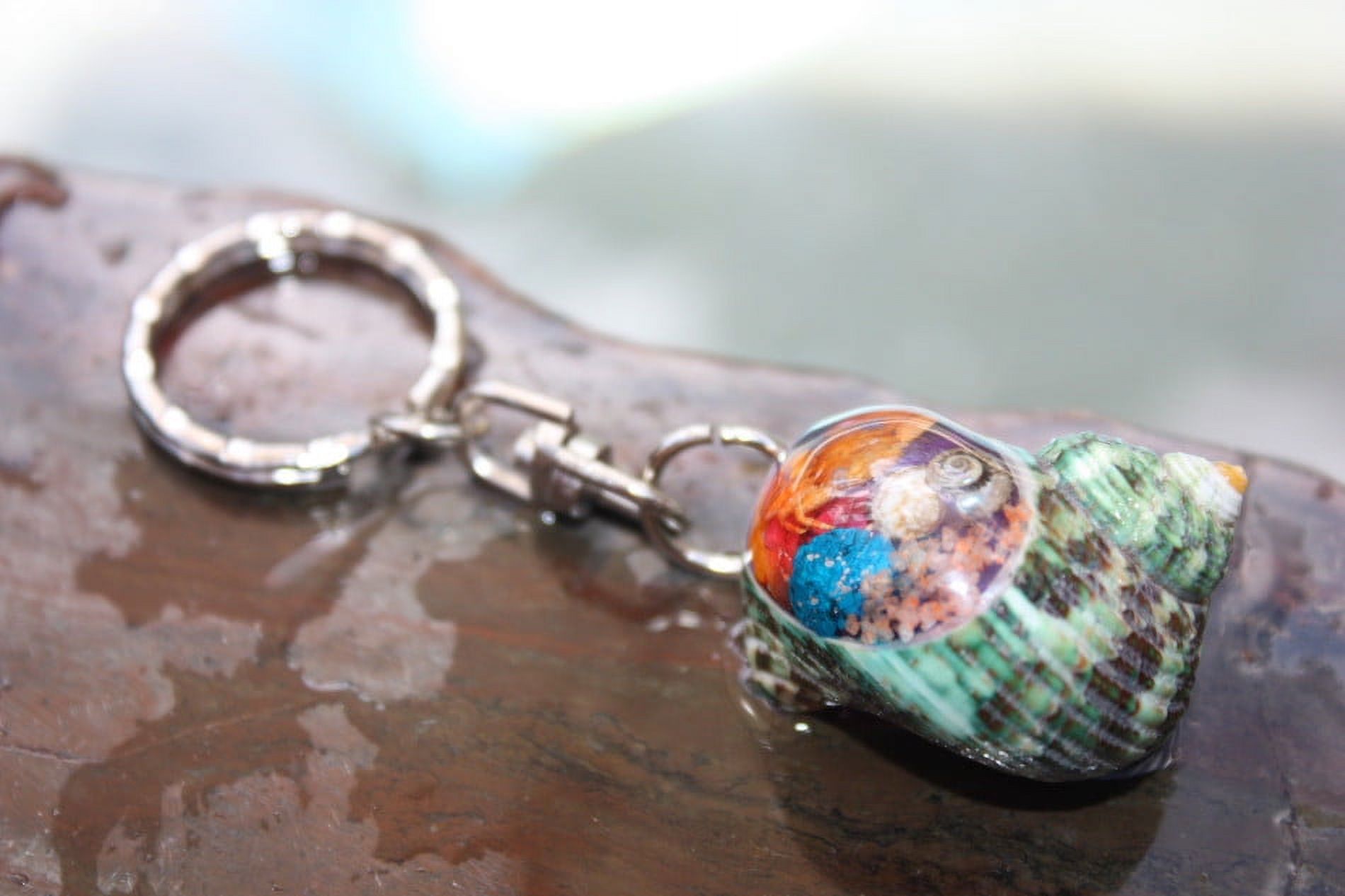 Keychain Seashell w/ Inlay Sea Life #4 - Aloha Keychain - Walmart.com