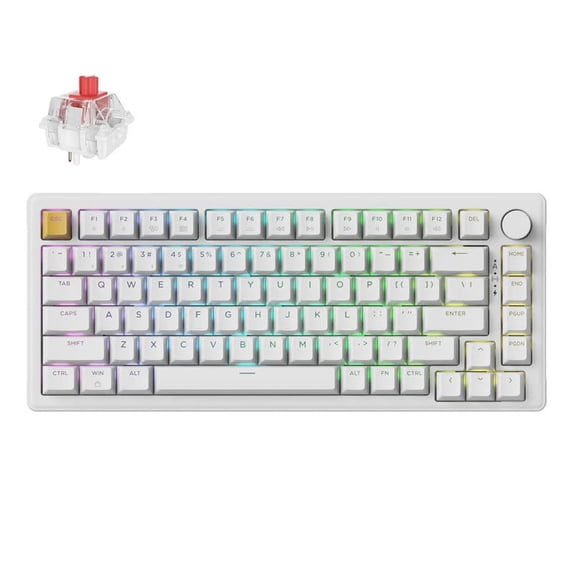 Keychron J2 Wireless Mechanical Keyboard, 2.4 GHz Bluetooth QMK 75% ...