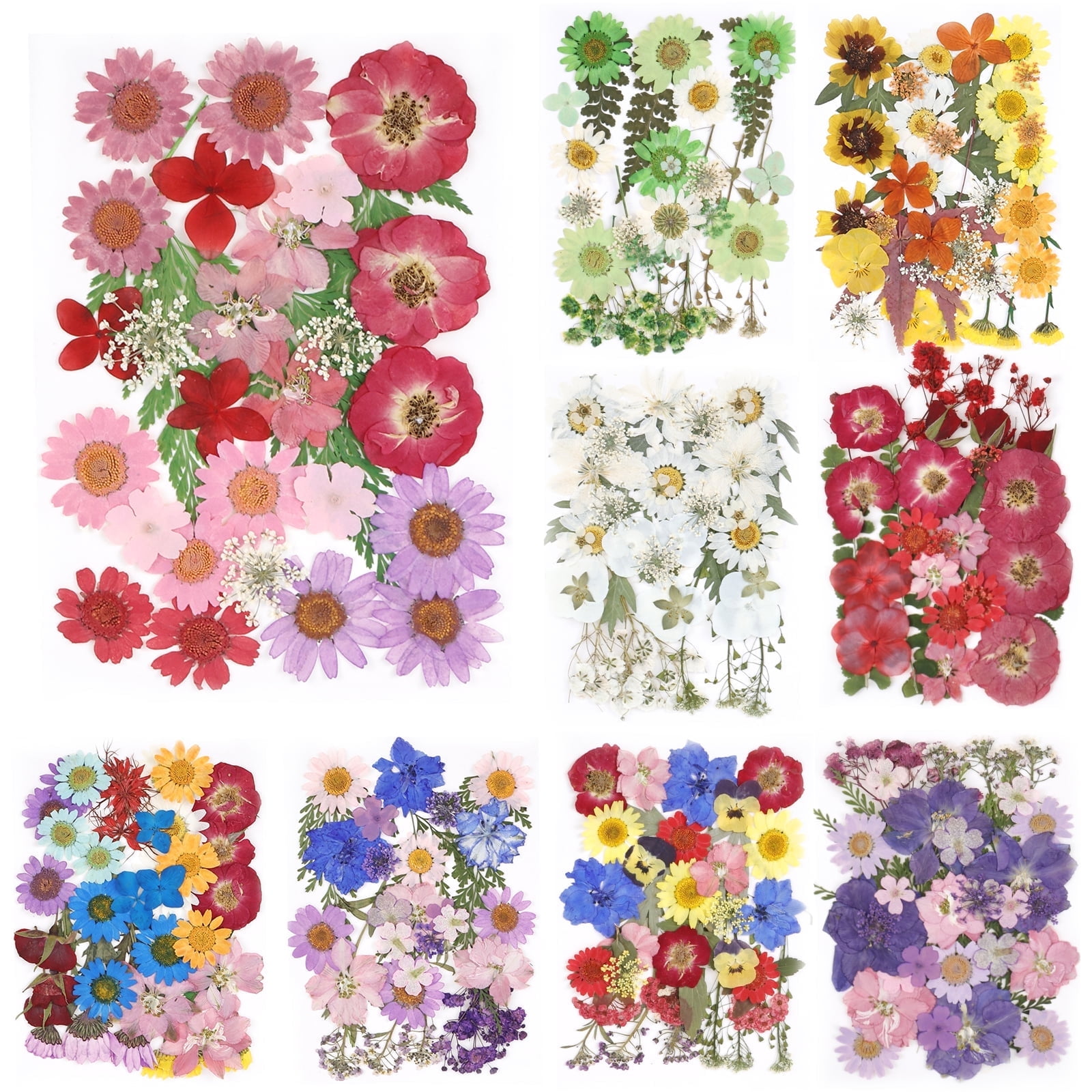 Keyohome Real Pressed Dried Flowers Set, 104/96/94Pcs, Multicolor, DIY ...