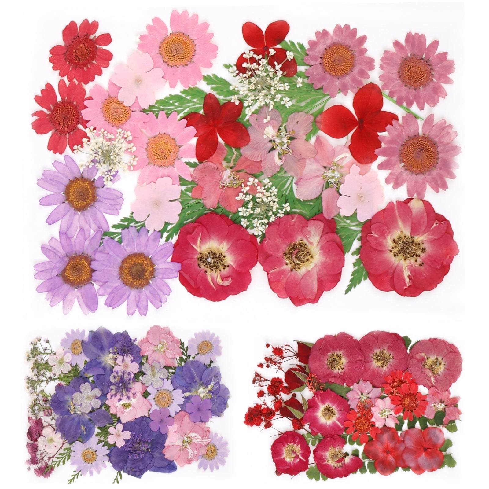 Keyohome 104/96/94Pcs Pressed Dried Flowers Set Real Natural Pressing ...