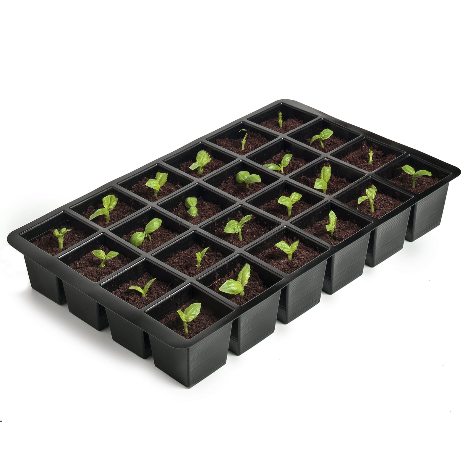 Keyohome 50Pcs Grow Sponges Easy to Use Seed Pods Seed Starter Pod ...