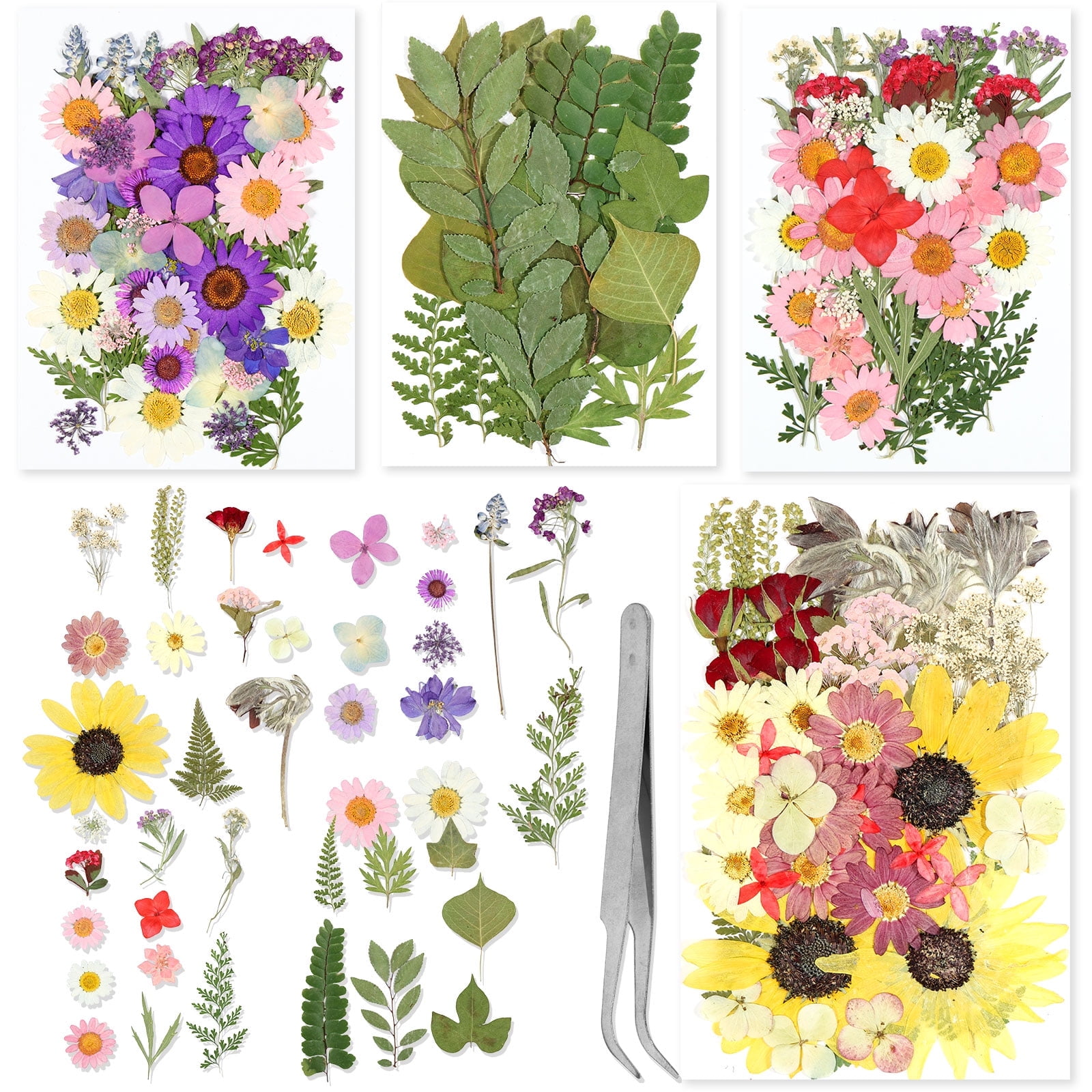 Keyohome Pressed Dried Flowers Set Real Natural Pressing Floral Leaves ...