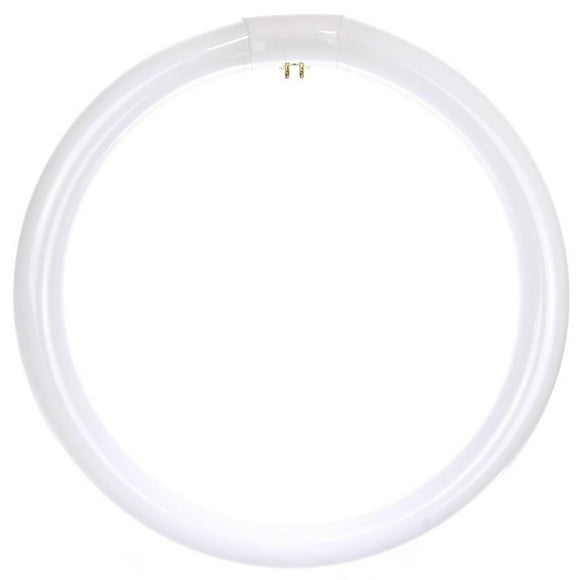 Circular Fluorescent Light Bulbs