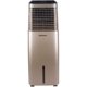 Keystone 30-Liter Indoor Evaporative Air Cooler (Swamp Cooler) in Gold ...